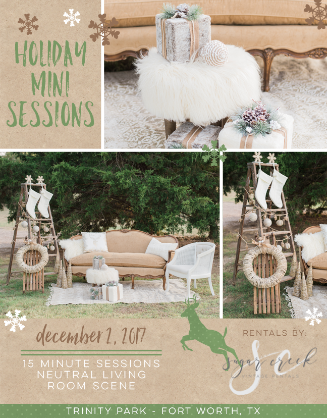 HOLIDAY MINI SESSIONS 2017 - Texas Event Furniture, Prop and Decor ...