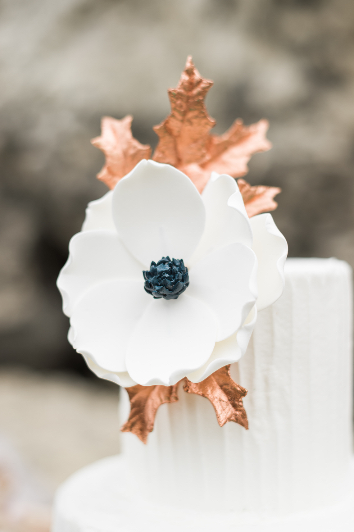 STATE PARK // STYLED EDITORIAL // CLIFFSIDE ELOPEMENT - Texas Event ...