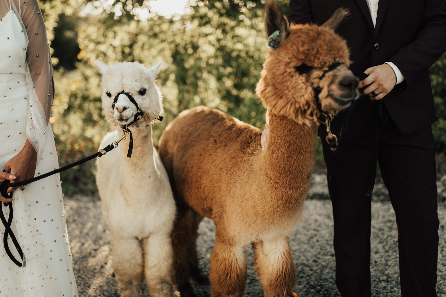 CLAYTON & ERIKA'S TEEPEE MARFA INSPIRED WEDDING - Texas Event Furniture ...